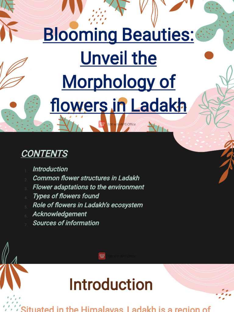 Wa0011. | Download Free PDF | Flowers | Petal