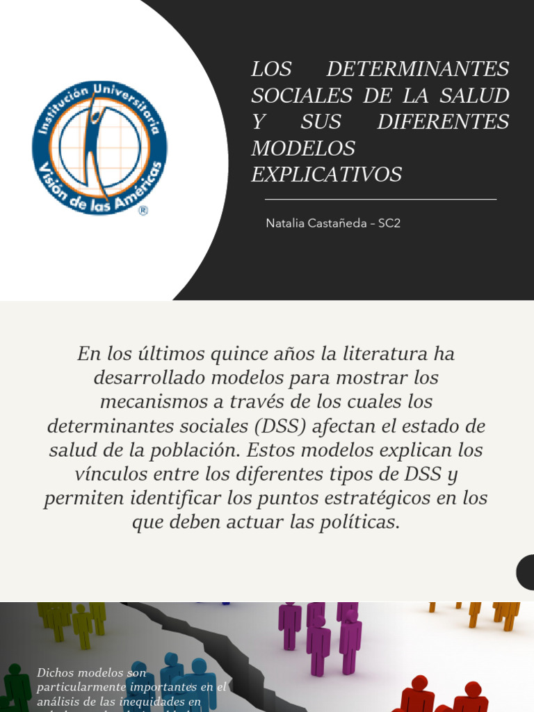 Modelos de Los Dss | PDF | Desigualdad social | Discriminación y relaciones raciales