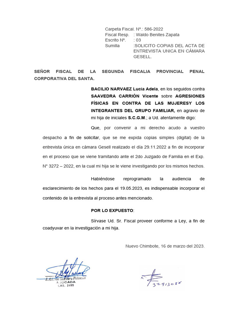 SOLICITO COPIAS DEL ACTA DE ENTREVISTA UNICA EN CÁMARA GESELL | PDF