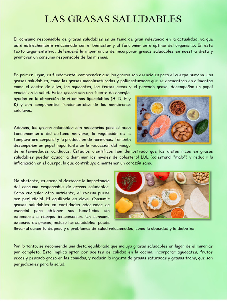 Las Grasas Saludables | PDF | Cocina, comidas y vino | Salud y bienestar