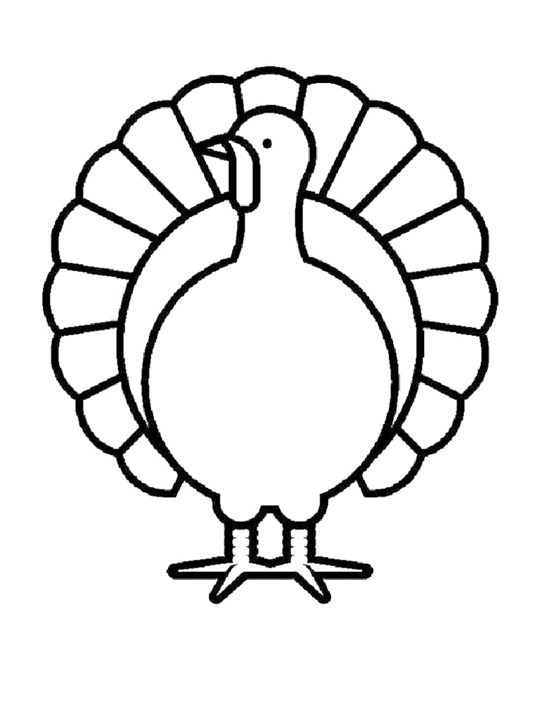 Turkey Sheet | PDF