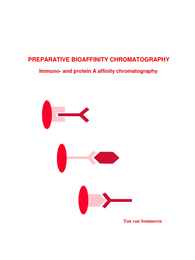 Bioaffinity Chromatography | PDF