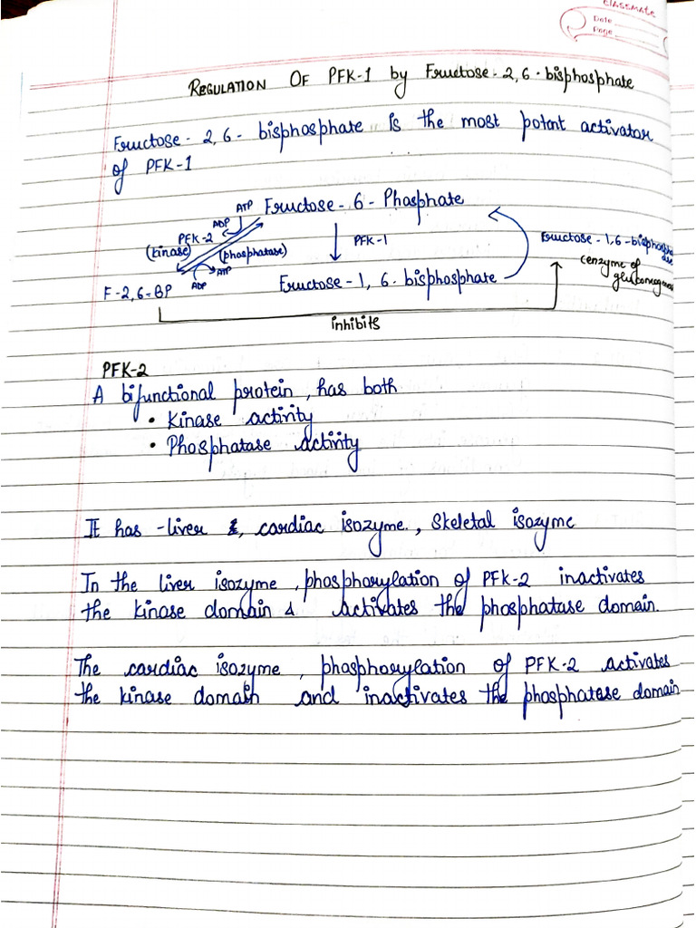 Carbohydrate Metabolism Notes Biochemistry | PDF