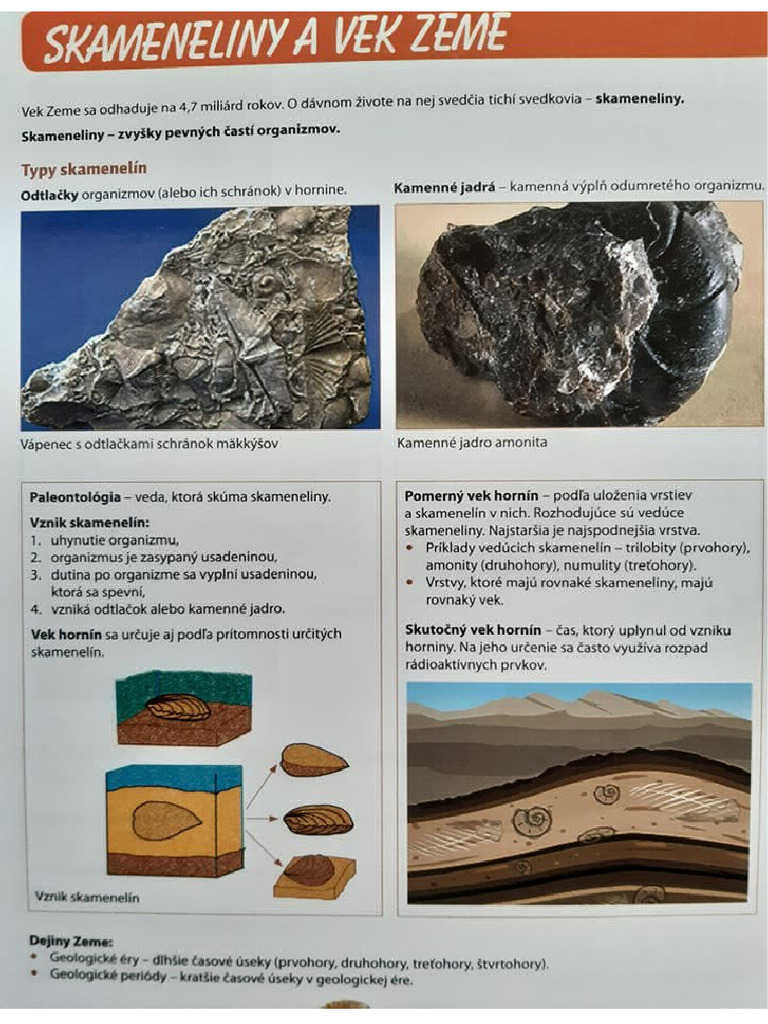 Skameneliny A Vek Zeme | PDF