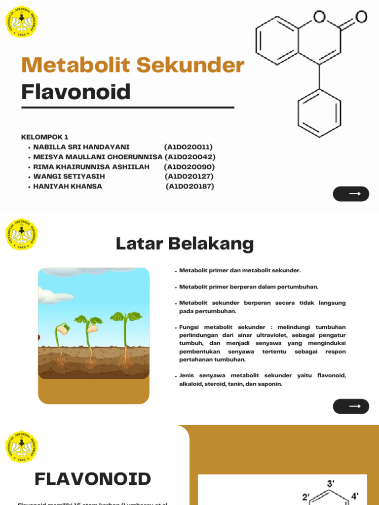 Metabolit Sekunder Flavonoid | PDF