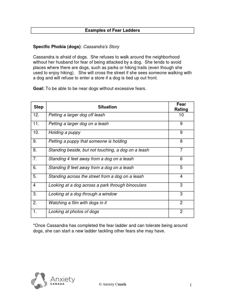 Fear Ladder Examples for Anxiety | PDF | Anxiety Disorder | Panic Attack