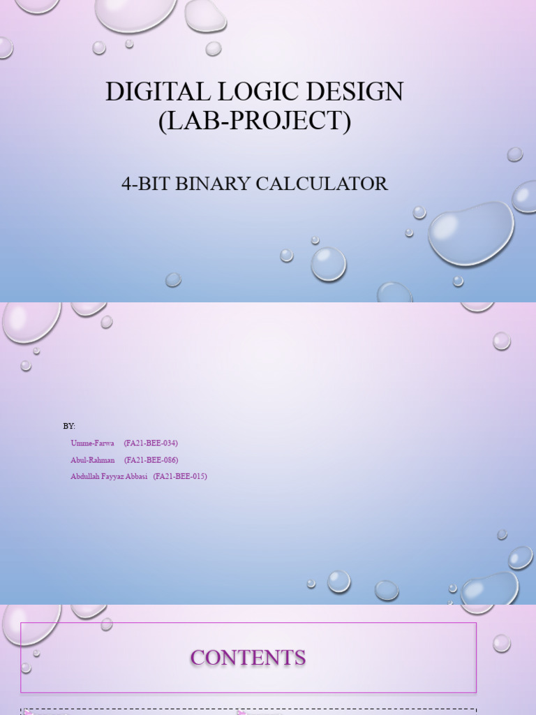 Digital Logic Design (Lab-Project) | PDF