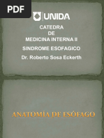 Digestión: Bolo, Quimo y Quilo | PDF | Digestión | Tracto gastrointestinal