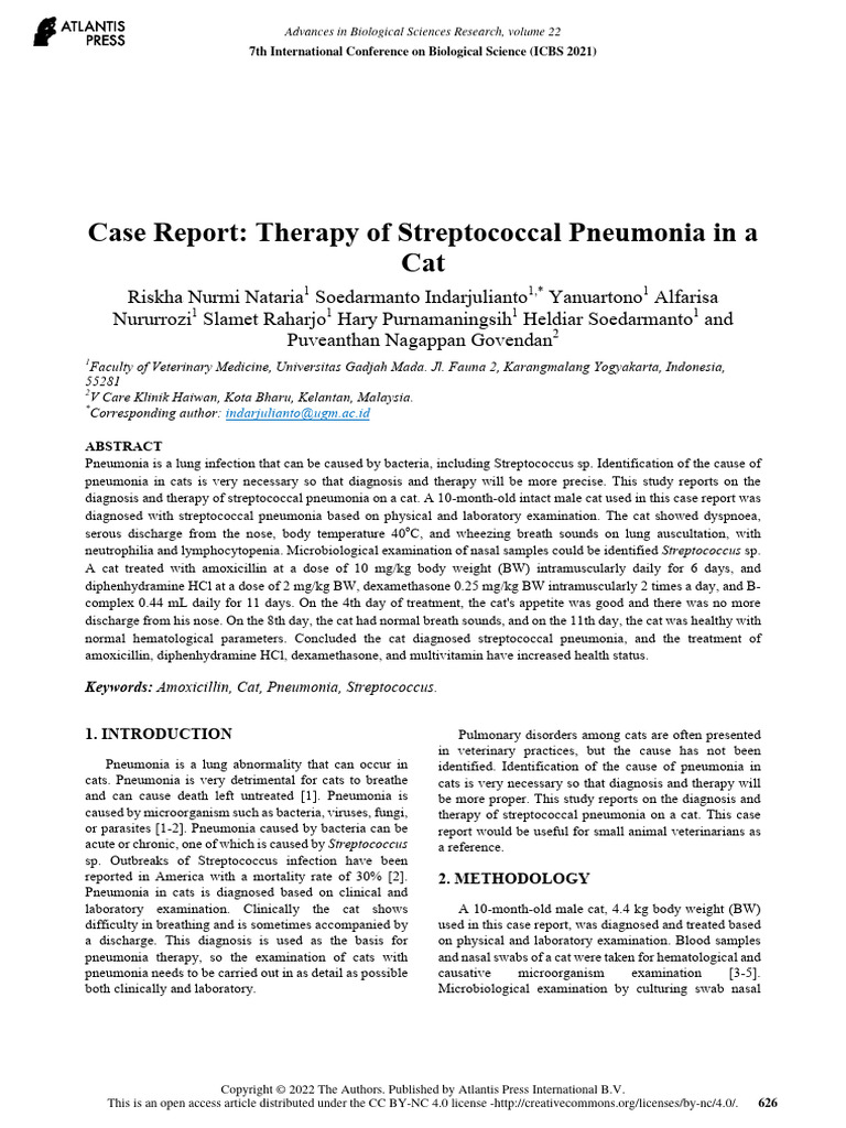 Case Report: Therapy of Streptococcal Pneumonia in A Cat | PDF ...