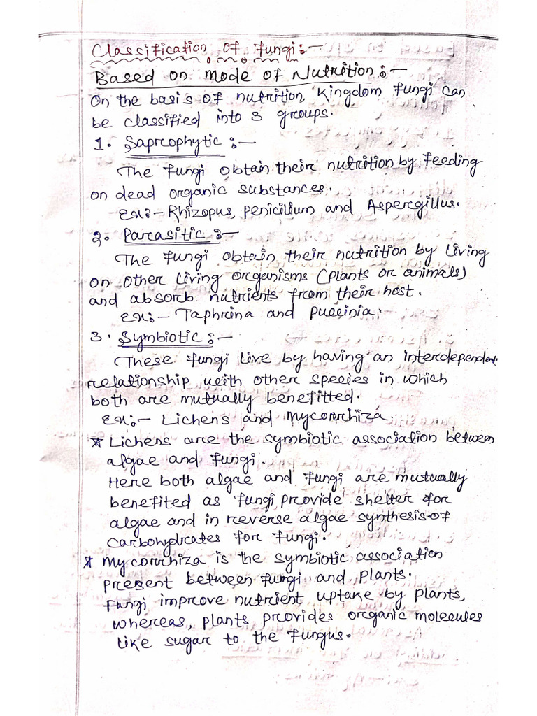 Classification of Fungi | PDF