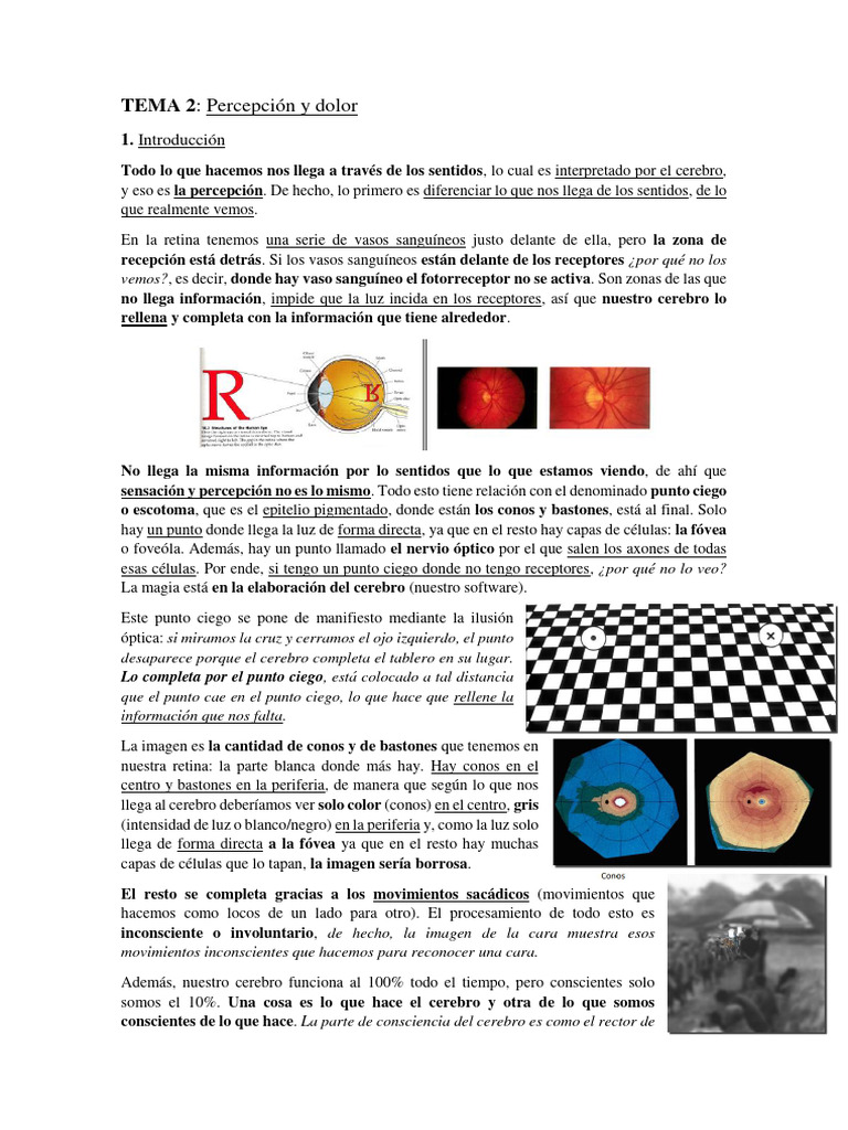 TEMA 2 - Percepción y Dolor | PDF | Dolor | Atención
