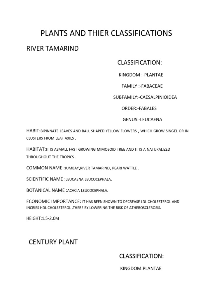 Plants and Thier Classifications | PDF | Plants | Botany