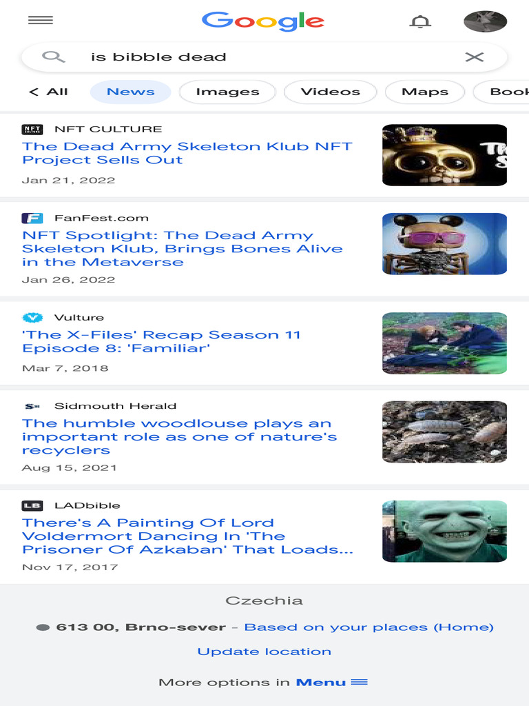 Bibble's Death: What Happened? | PDF