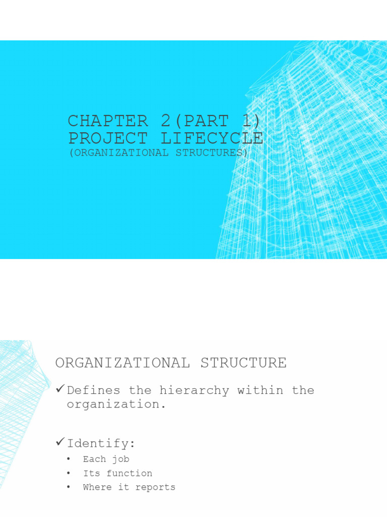 Chapter 2 Project Lifecycle Part 1 | PDF | Organizational Structure ...