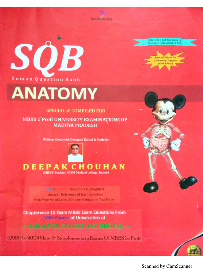 SQB Anatomy | PDF