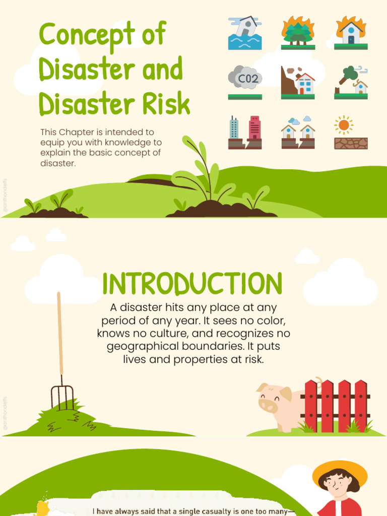 Concept of Disaster and Disaster Risk Handout | PDF | Natural Disasters ...