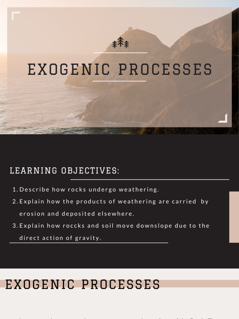 Exogenic Processes | PDF | Weathering | Sediment