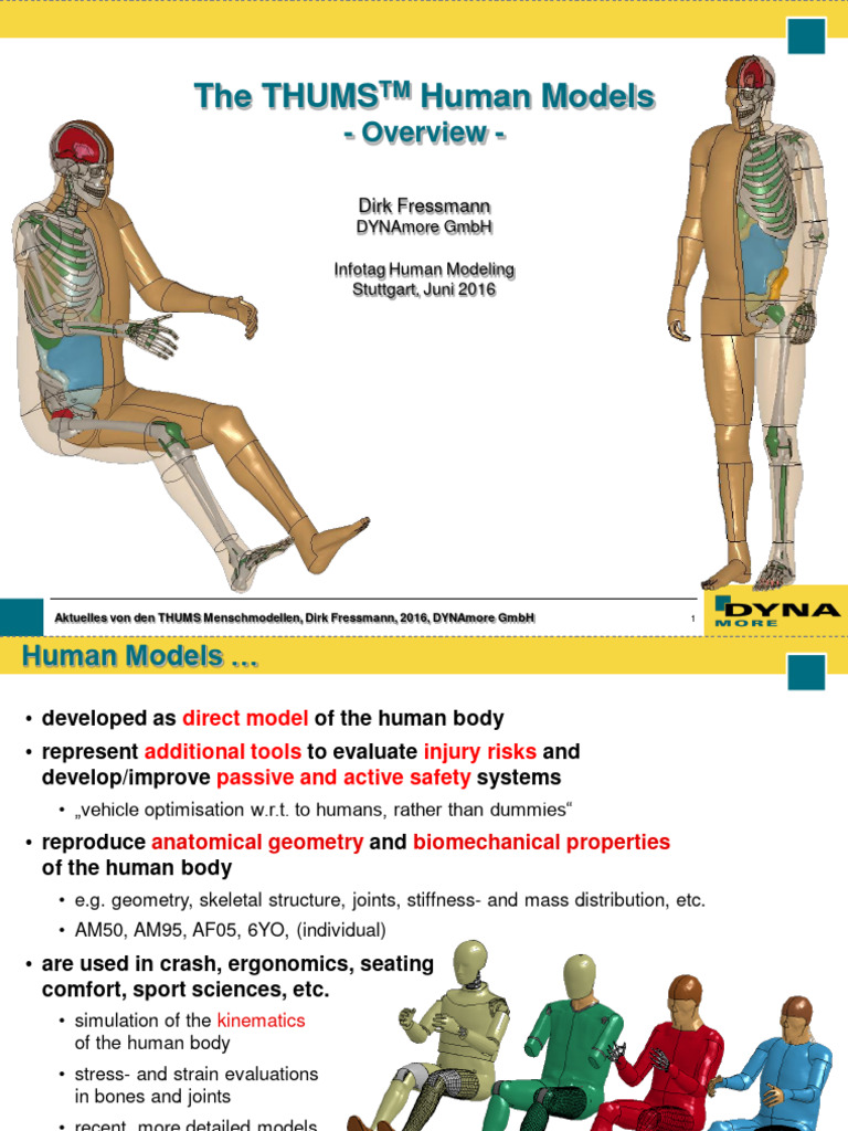 Dynamore THUMS Models | PDF | Interpolation | Simulation