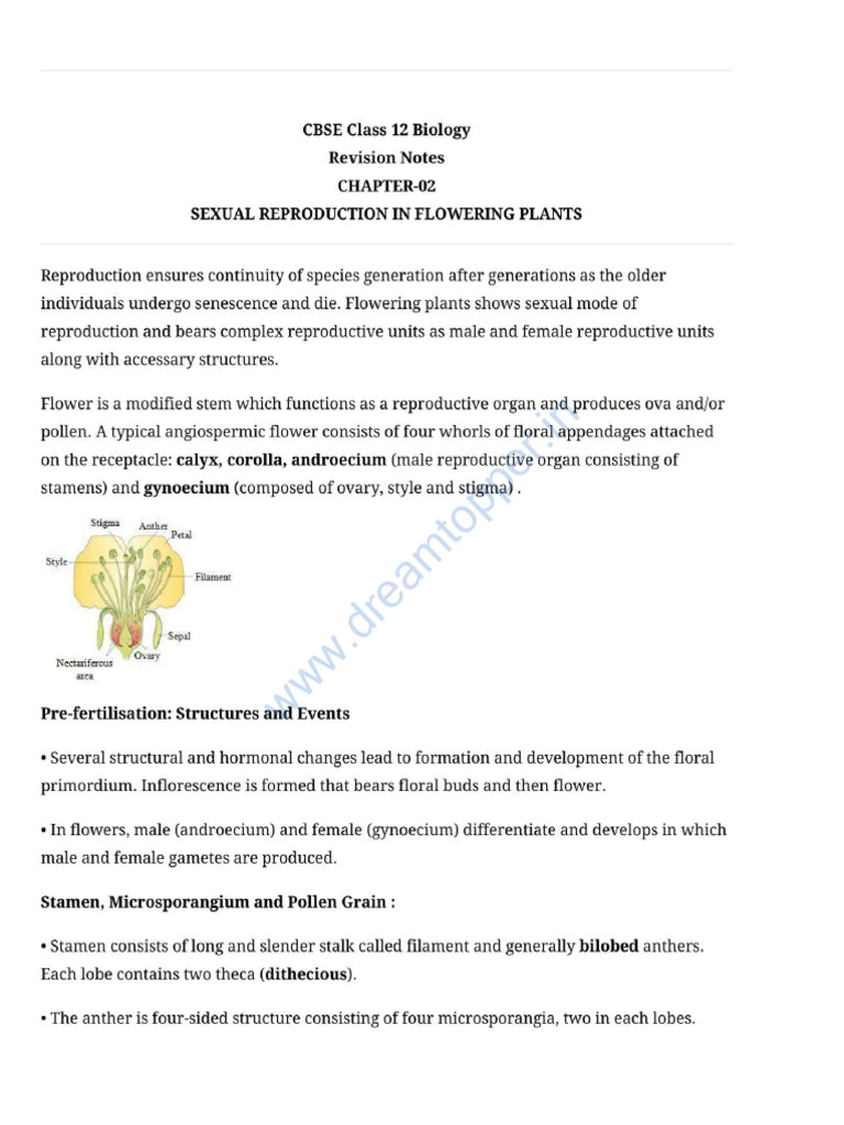 Sexual Reproduction in Flowering Plants 12th Biology Notes | PDF