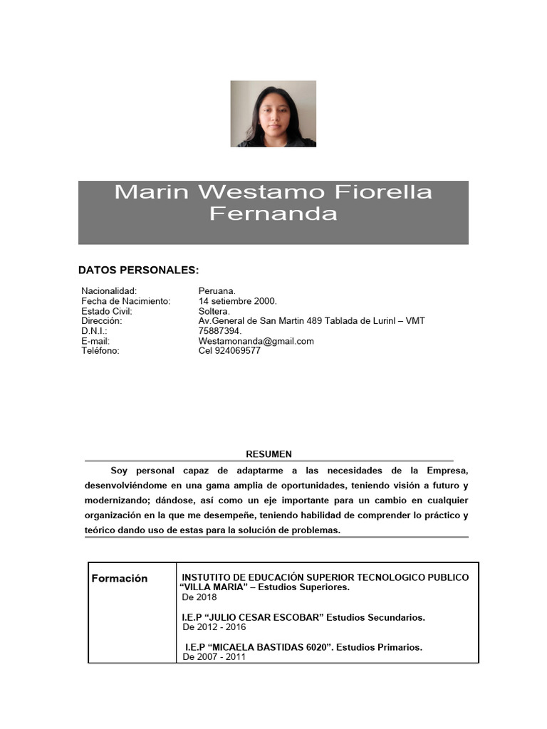 CV Actualizado | PDF | Informática