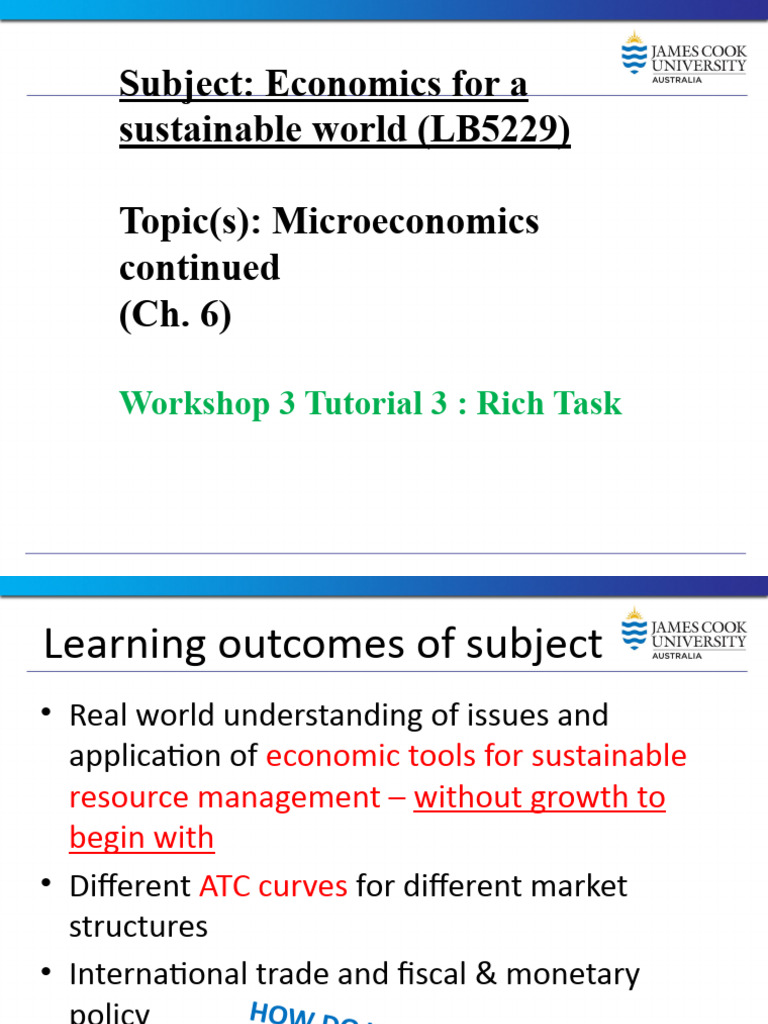 Workshop 3 Tute 3 Rich Task v2 | PDF | Marginal Cost | Profit (Economics)
