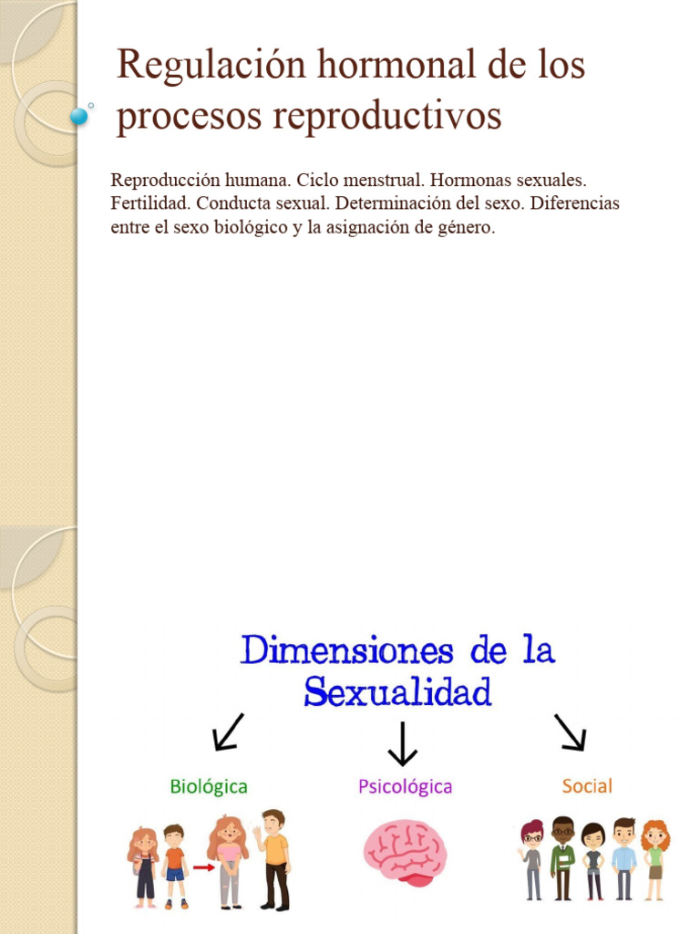 Regulacion Hormonal de Los Procesos Reproductivos | PDF | Hormona luteinizante | Ovario