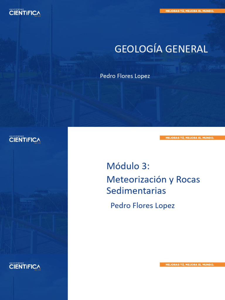 Tipos de Meteorización y Bioclastia | PDF | Meteorización | Roca (geología)