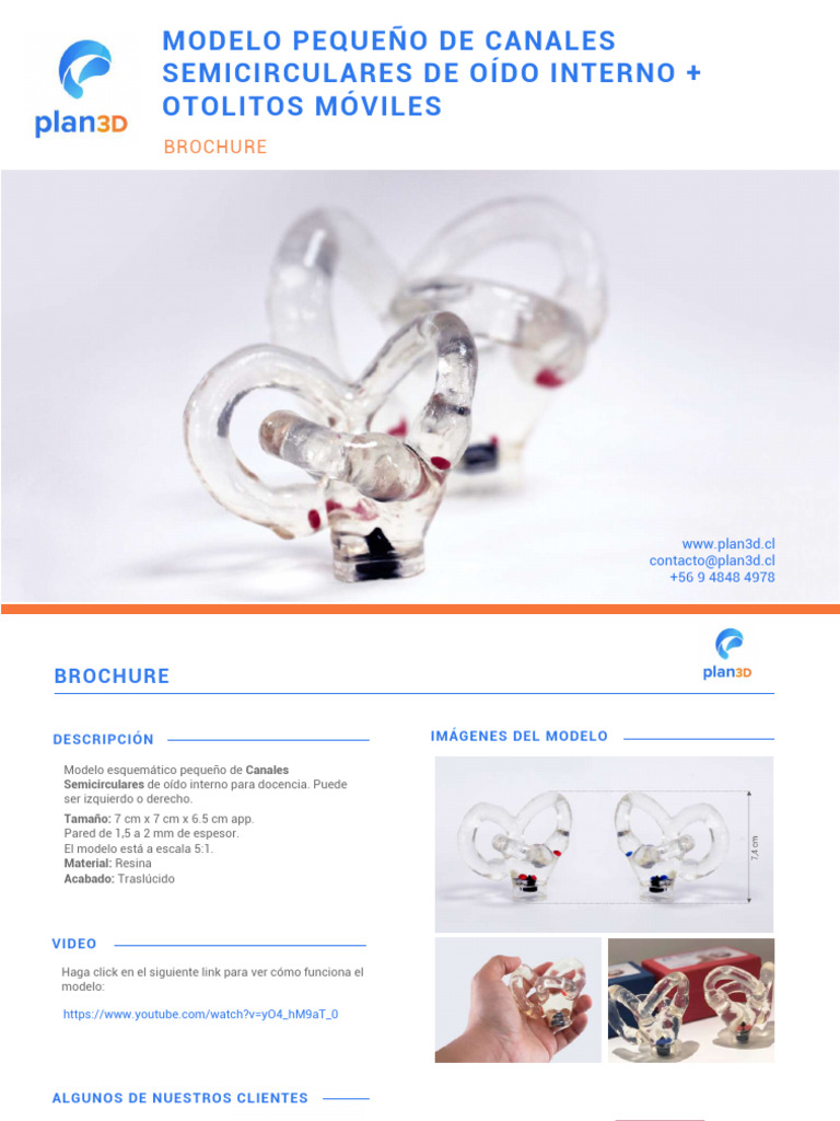 Brochure CSC Pequeño Español 2021 | PDF