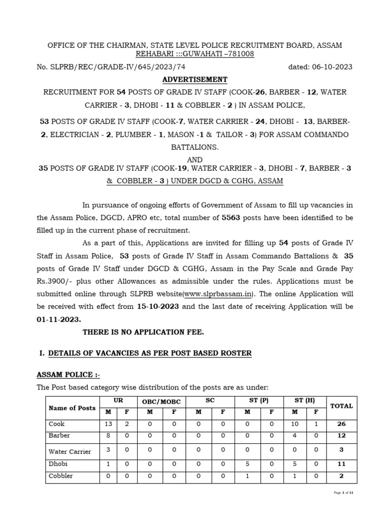 Advertisement Grade IV | PDF | Image Resolution | Pixel