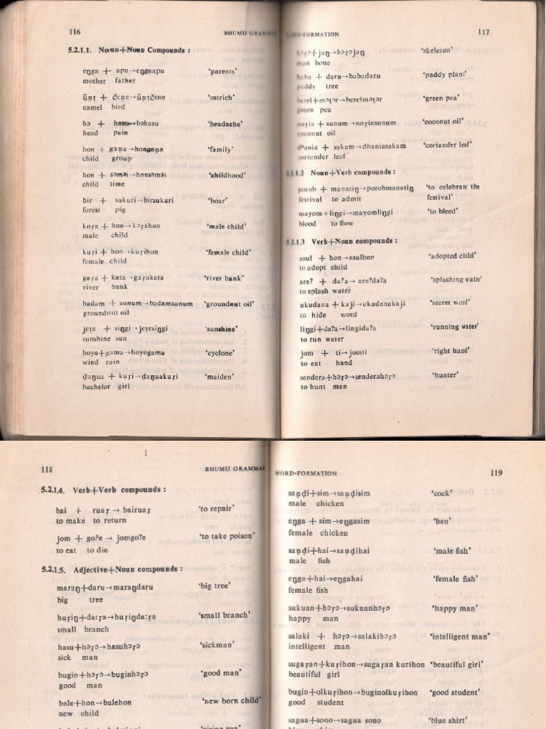 Bhumij Grammar 2 | PDF