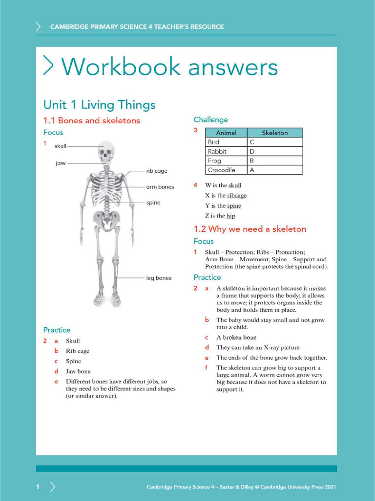 Workbook Grade 4 | PDF