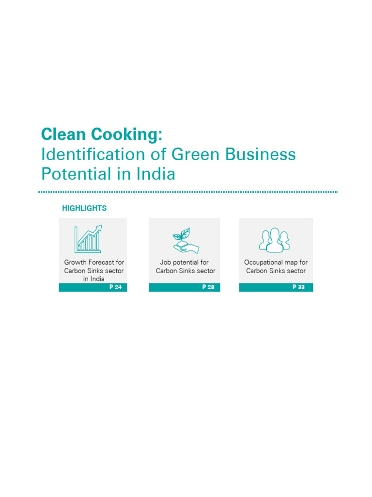 Concept - Note Clean Cooking Solutions | PDF | Nature | Natural Environment