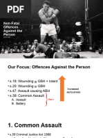 Offences Against the Person Act Review | PDF | Assault | Manslaughter