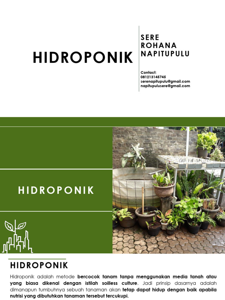 Panduan Lengkap Hidroponik | PDF | Griya & Taman | Sains & Matematika