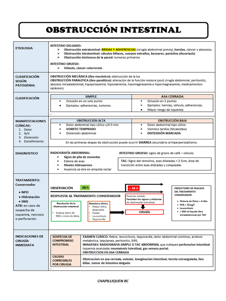 Obstruccion Intestinal | PDF | Medicina | Especialidades Medicas