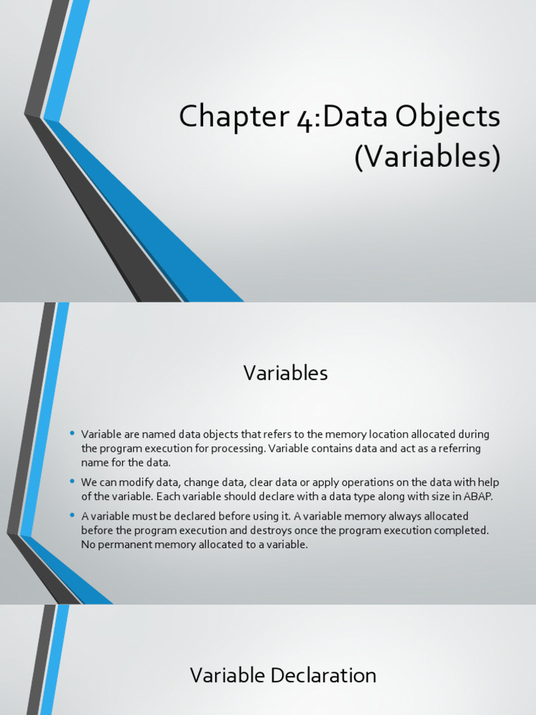 Chapter 4 (Data Objects Variables) | PDF | Variable (Computer Science) | Computer Program