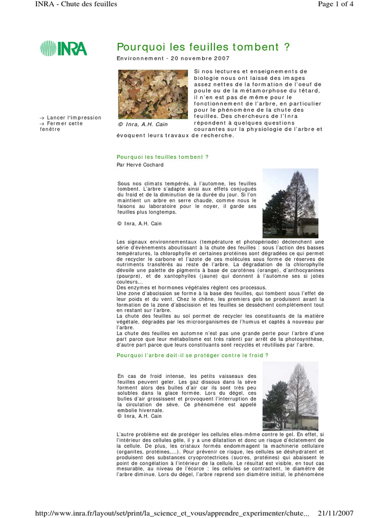 Pourquoi Les Feuilles Tombent 2007 | PDF