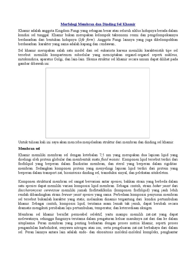 Morfologi Membran Dan Dinding Sel Khamir | PDF
