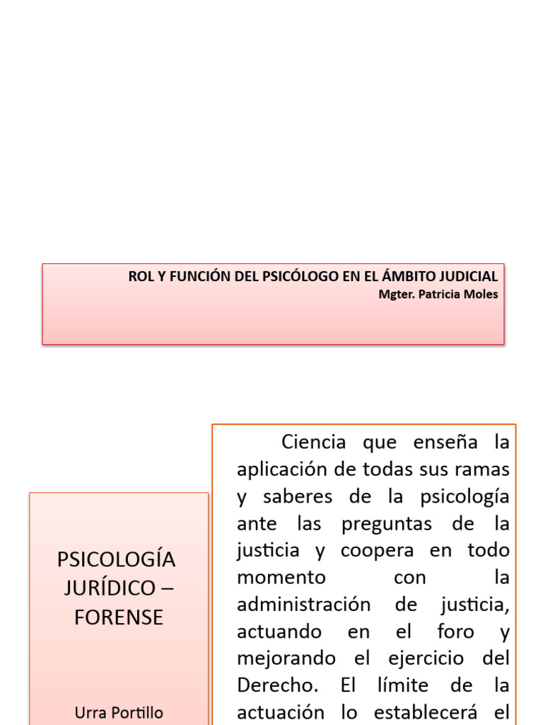 Rol y Función Del Perito | PDF | Sicología | Testigo experto