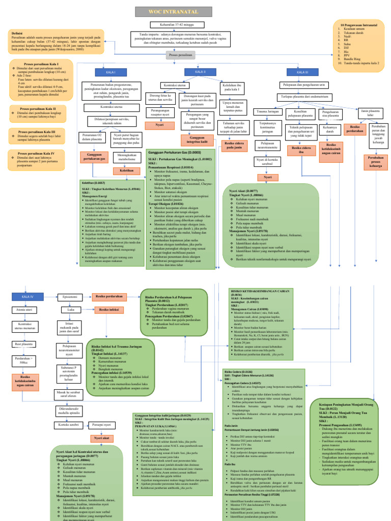 Woc Intranatal - Margaretha | PDF
