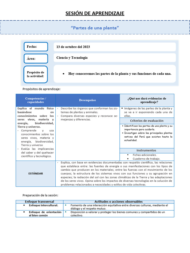 SESION clasificacion de la planta segun su utilidad 20 10 23 | PDF ...