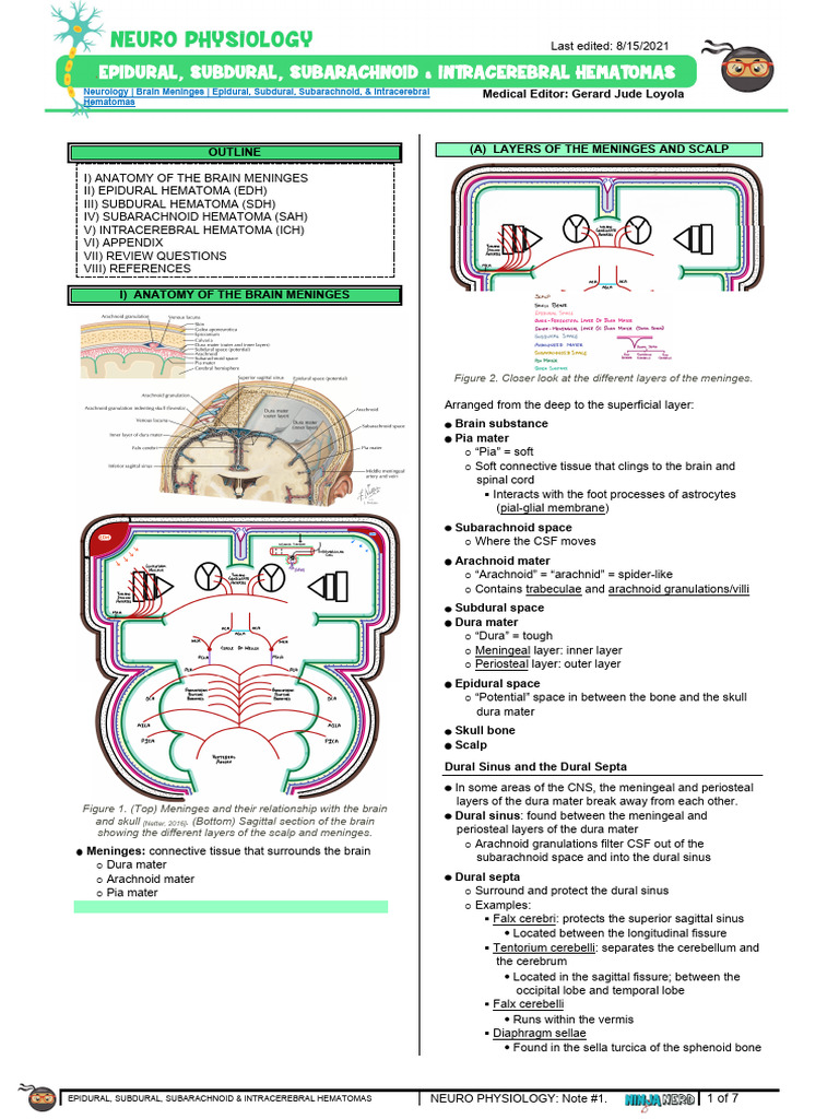 086 - Neurology Physiology) Brain Meninges - Epidural, Subdural ...