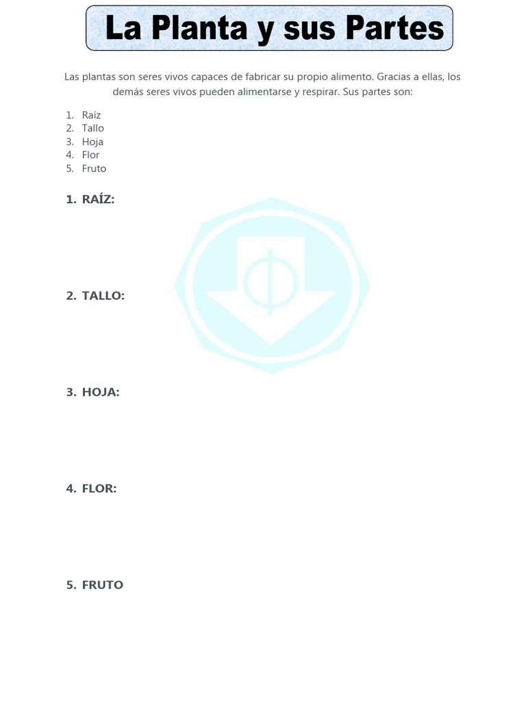 Ficha de La Planta IMPRIMIR | PDF