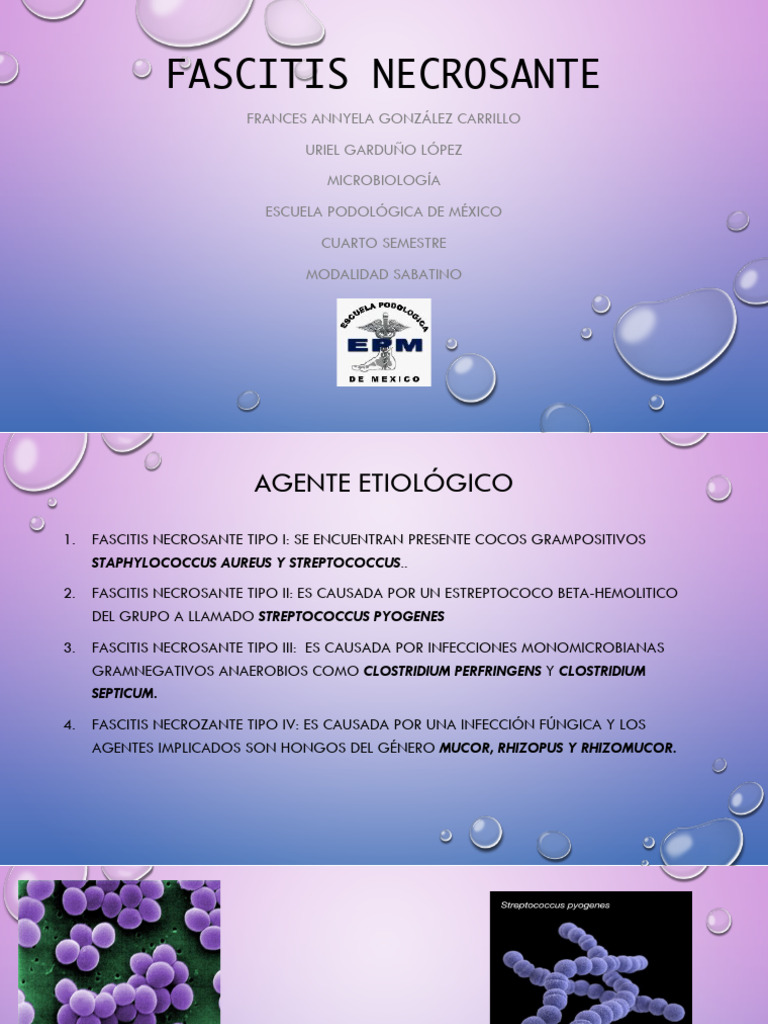 Fascitis Necrotizante | PDF | Estreptococo | Medicina