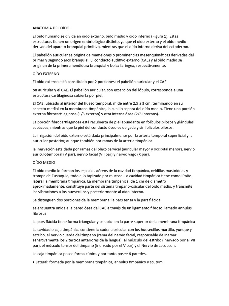 ANATOMÍA DEL OÍDO Y LARINGE OTORRINOLOGIA | PDF | Laringe | Oído