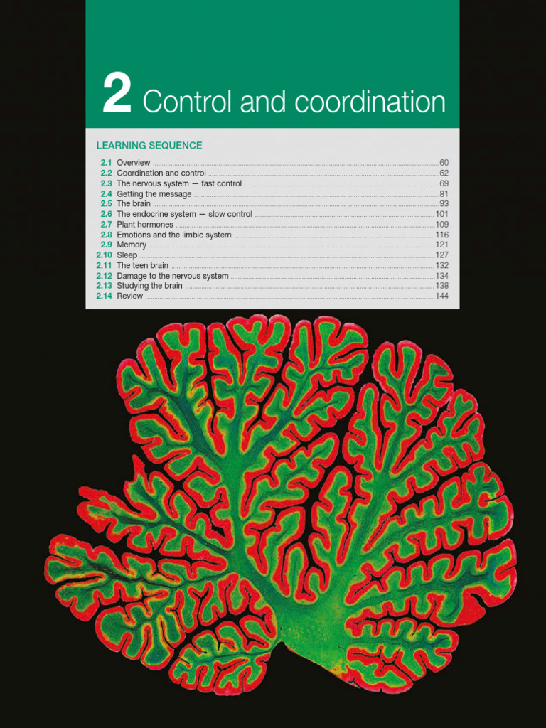 Control and Co-Ordination Quest | PDF | Neuron | Nervous System