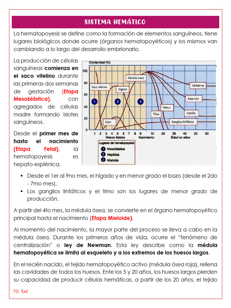 Sistema Hemático | PDF | Hematopoyesis | Glóbulo rojo