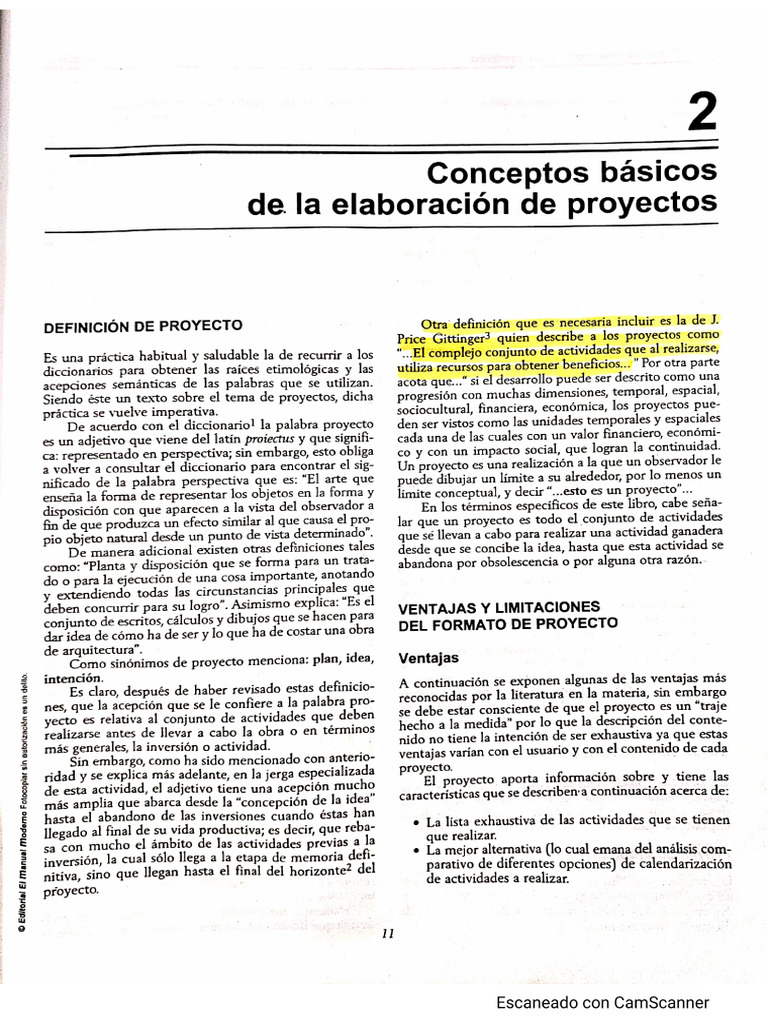 Cap. 1 (C) Conceptos Básicos de Proyectos | PDF