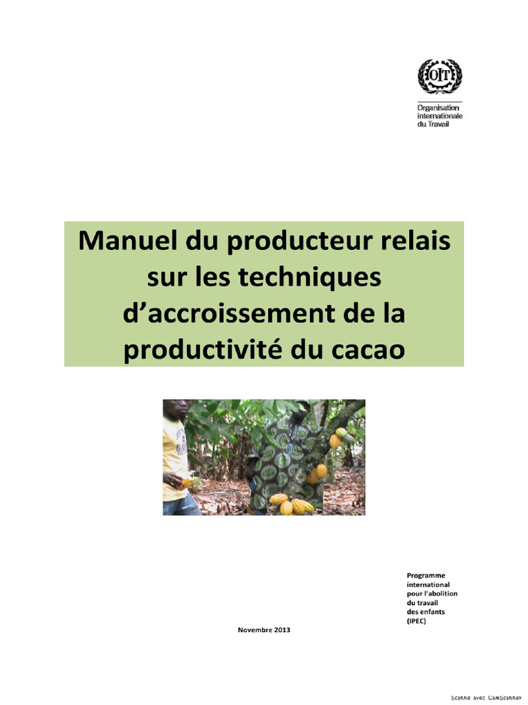 67 Manuel Formation Producteurs Cacao Productivite | PDF
