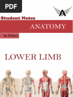 Kinesiology Flashcards, 3E - Lippert, Lynn S., Minor, Mary Alice ...